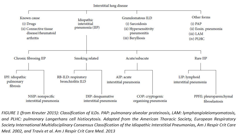 Interstitial Lung Disease Classification